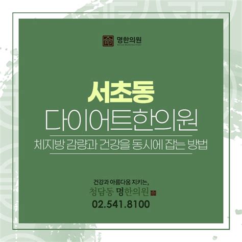 서초동다이어트한의원 체지방 감량과 건강을 동시에 잡는 방법 네이버 블로그