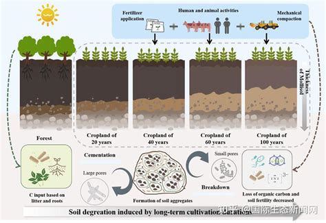 长期耕作下黑土团聚体结构演变特征研究 知乎