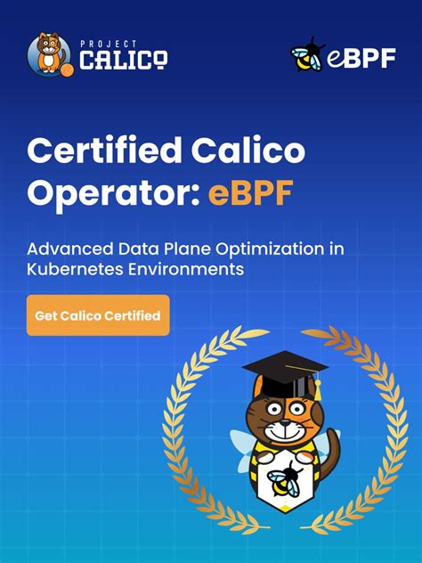 project calico on linkedin ebpf networksecurity
