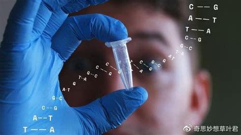 解决数据存储瓶颈！一克dna可储存2 15亿gb数据，大储量时代到来 存储 遗传信息 数据存储 新浪新闻