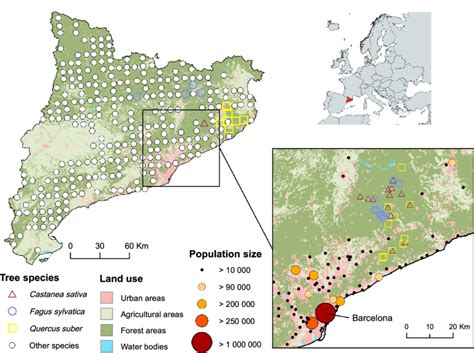 Systematic And Targeted Sampling Plots In Catalonia Ne Spain