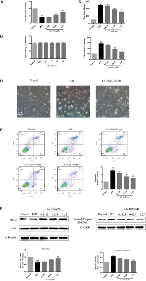 Astragaloside Iv Derivative Ls 102 Alleviated Myocardial Ischemia
