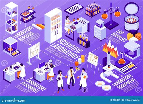 Isometric Scientific Laboratory Flowchart Stock Vector Illustration Of Element Biotechnology
