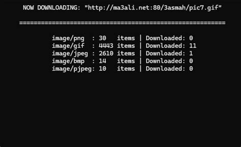 Github David0zwayback Machine Downloader Terminal Ui Tool For Collective Download Of