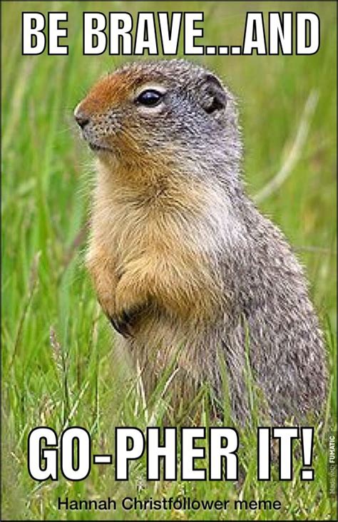 The Gopher Is Looking At His Butt Meme By Gto Ii Meme
