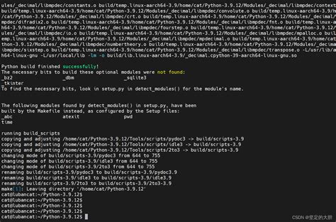 【鲁班猫】安装python3912 Csdn博客