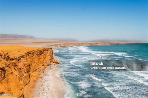 파라카스 국립 공원은 페루에서 동식물의 가장 중요한 보호 구역 중 하나로 간주됩니다 빠라까스 국립 보호 구역에 대한 스톡 사진 및 기타 이미지 빠라까스 국립 보호 구역