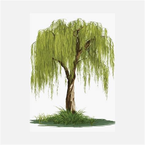 Premium Vector Various Tree Vectors Forest And Nature Concept