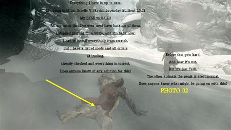 I Need A Solution Skyrim Technical Support Loverslab