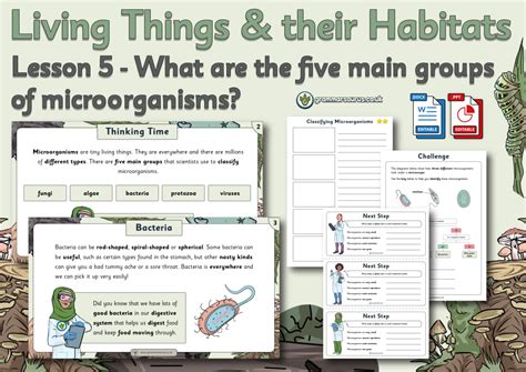 Habitats Year 6 At Brianna Fornachon Blog
