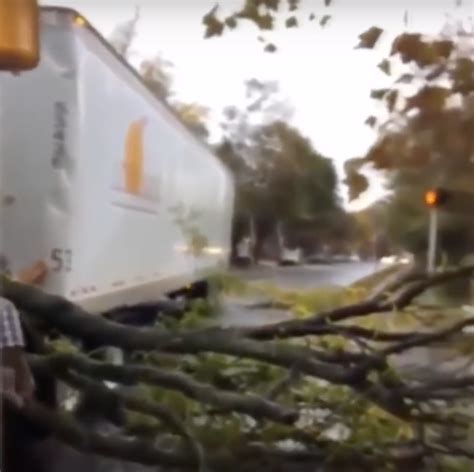 VIDEO Semi Truck Stuck And Broke A Huge Tree