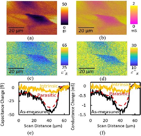 Figure 1 From Quantitative Scanning Microwave Microscopy Of The Evolution Of A Live Biological