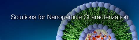 Nanoparticle Properties Size Zeta Potential And Structure