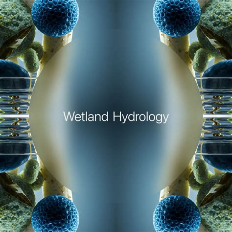Wetland Hydroperiod Analysis → Area