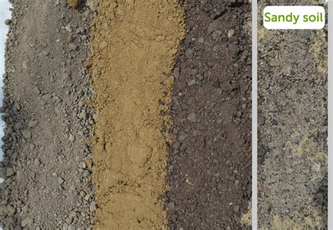 Types Of Soil For Farming And Gardening FarmerDB
