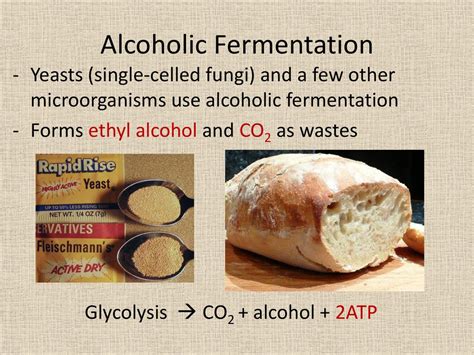 Cellular Respiration Ppt Download