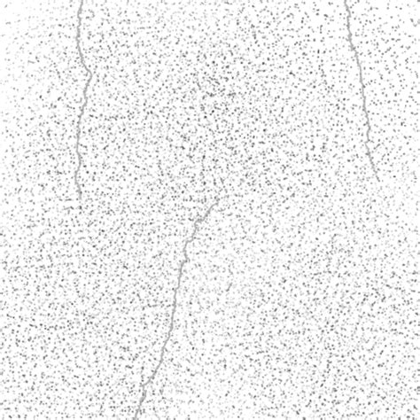 필름 그레인 Png 효과 클립 아트 무료 일러스트 다운로드 및 Psd 곡물 파일 효과 Png 일러스트 및 Psd 이미지 무료 다운로드 Pngtree