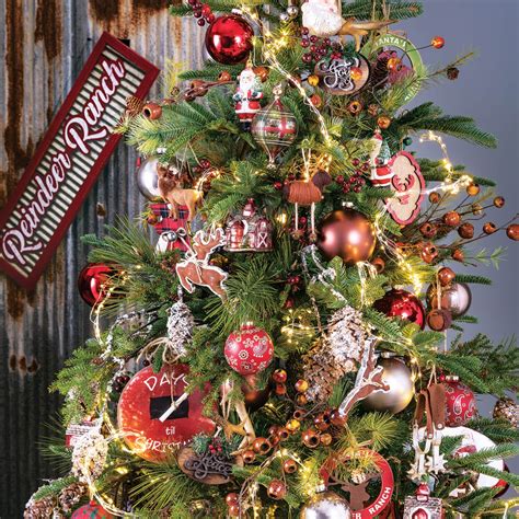 Using Mast Producing Trees In Riparian Buffer Zones Mast Producing Trees