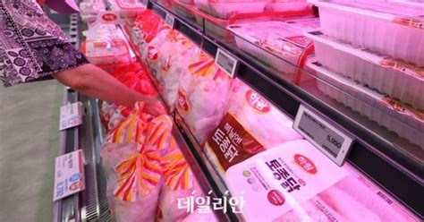 지난해 송아지·육우 생산비 증가···육계 생산비 6 2 감소