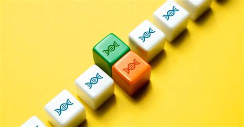 research validated the intriguing role of simple sequence repeats in