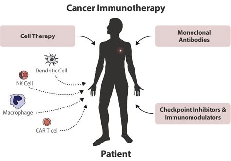 Global Cancer Immunotherapy Drugs Market Report Tech Trends Explorer