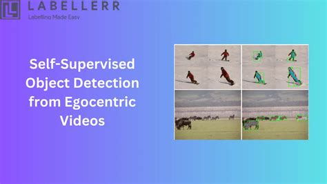 Self Supervised Object Detection From Egocentric Videos