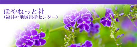 ほやねっと社 社会福祉法人新清会ホームページ