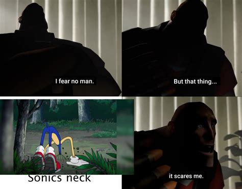 Sonic The Giraffe Rsonicthehedgehog