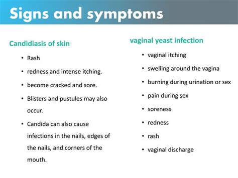 Fungi Yeast Filamentous And Dimorphic Pdf