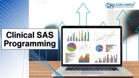 Authentic Clinical Sas Programming Course In 2024