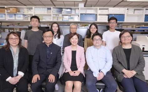 Hkust Scientists Achieve Groundbreaking First By Applying Artificial Intelligence For Early Risk