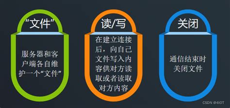 Lv7 嵌入式开发 网络编程开发 06 Socket套接字及tcp的实现框架 Csdn博客