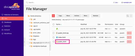 How To Manually Migrate A Cpanel Site To Divi Space Hosting