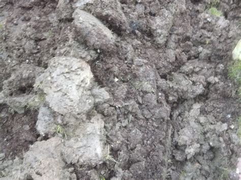 Ways Of Improving Clay Soil Making Clay Soil Workable With Better Drainage