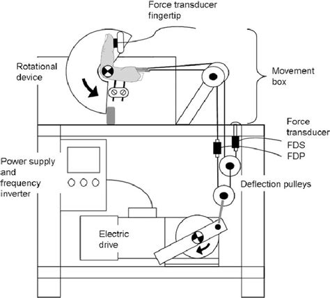 Isokinetic Movement Apparatus Existing Of A Frame Where The Electric Download Scientific Isokinetic Movement Apparatus Existing Of A Frame Where The Electric Download Scientific