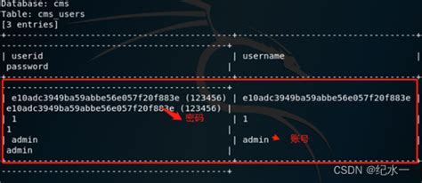 渗透测试 Sqlmap工具sqlmap默认yes Csdn博客