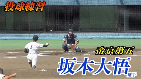 坂本大悟投手（帝京第五）投球練習！【愛媛高校野球】 Youtube