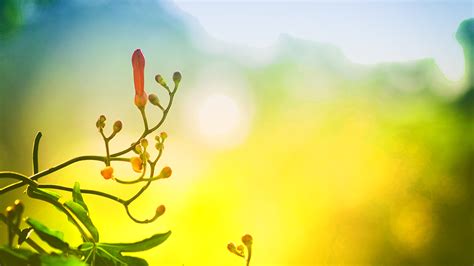 Install Odoo 10 In Ubuntu 1604 Lts • Atul Arvind