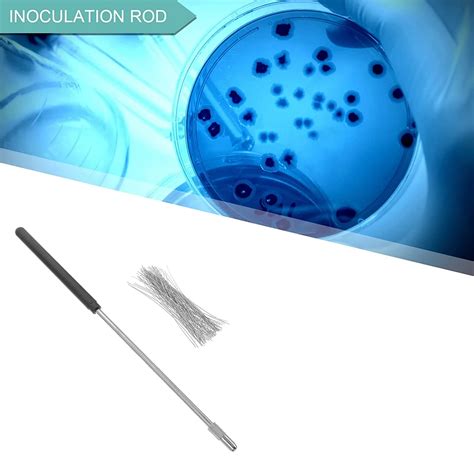 Stainless Steel Nichrome Wire Inoculating Loop And Needle Reusable Lab