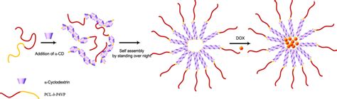 Schematic Representation Of The Self Assembly Process In Download