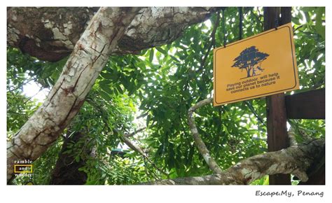 Malaysia 5 Places In Penang Which You Might Want To Skip But Probably Shouldnt Ramble And Wander