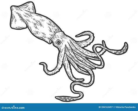 Colossal Squid Engraving Vector Illustration Stock Vector