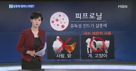 살충제 성분 피프로닐·비펜트린 얼마나 위험할까