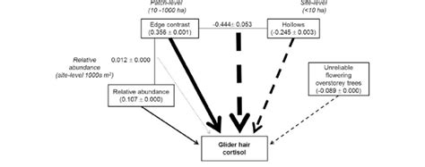 Path Diagram Showing The Average Parameter Estimates And The Standard