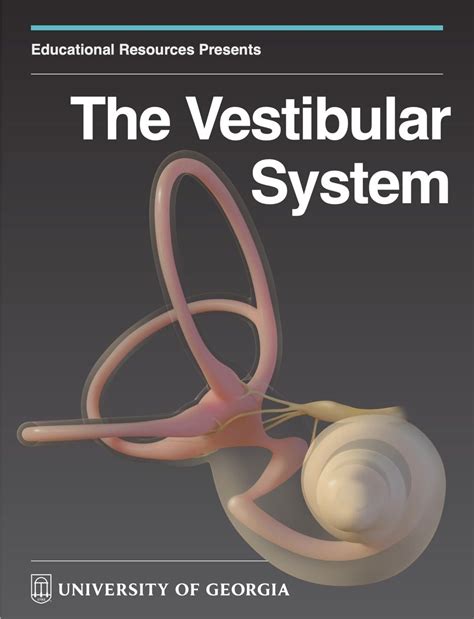 ‎the Vestibular System Vestibular System System Interactive Book