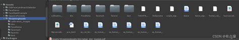 Unity换脸插件opencvforunity实现换脸unity 换脸拍照 Csdn博客