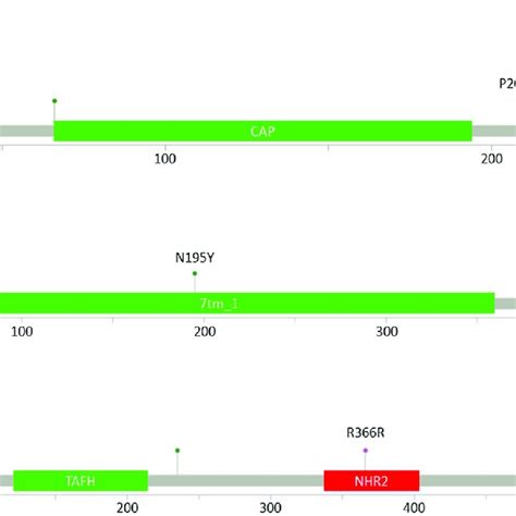 Lollipop Plots For Crisp3 Drd5 And Runx1t1 Genes Showing Identified
