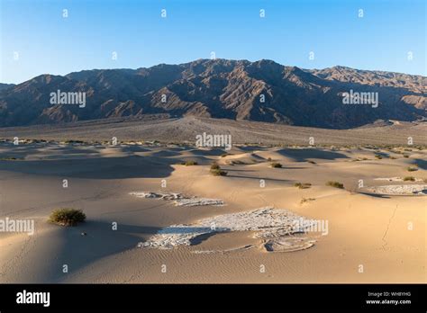 Mesquite Flat Sand Dunes In Death Valley National Park California