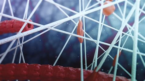 Nanofiber Solutions For Industry Use Matregenix