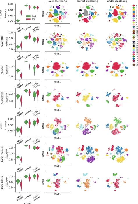 Self Projection Accuracy Comparison Between The Ground Truth Annotation